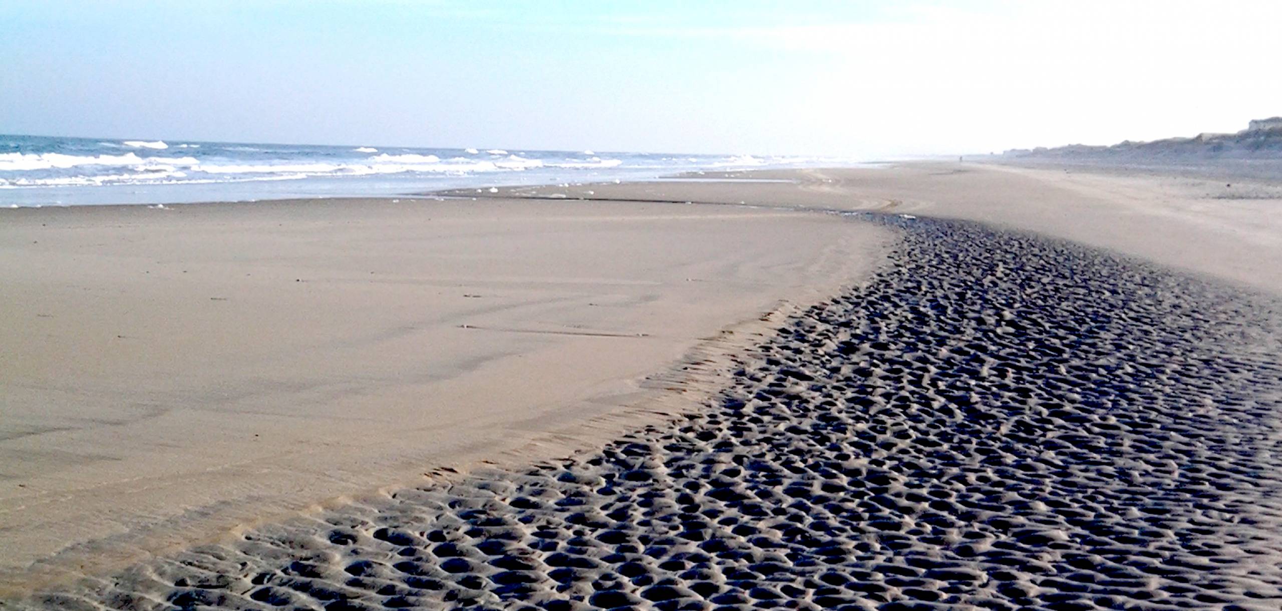 Outer Banks Vacation Rentals | Carova Cottages